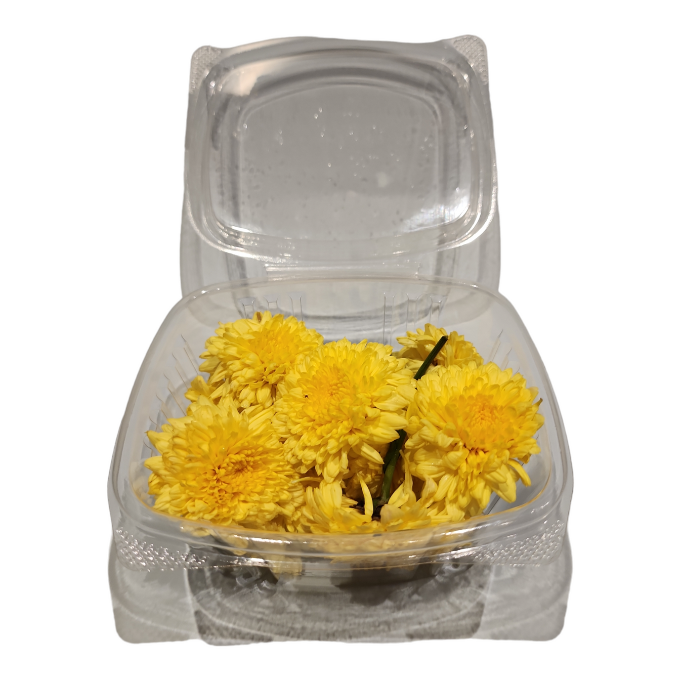 Marigold Fresh Flower, Camantippu, Banti, Jamanthi, Gende ka phool ...