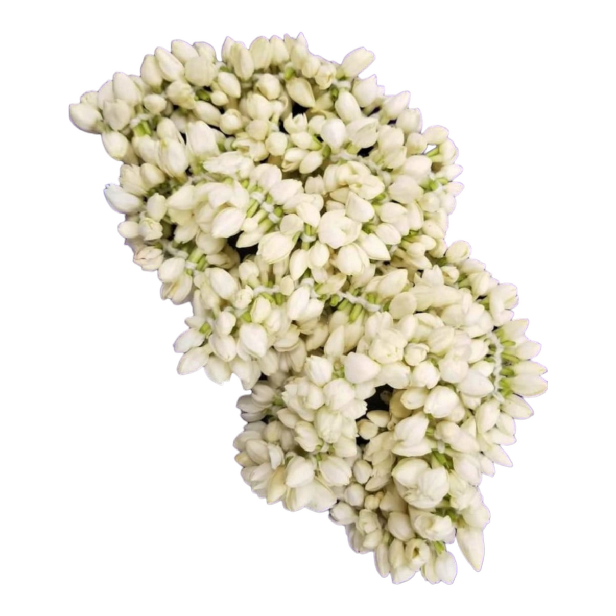 Buy Fresh Jasmine Flower Strings Online | Clicts to Cart Florist ...